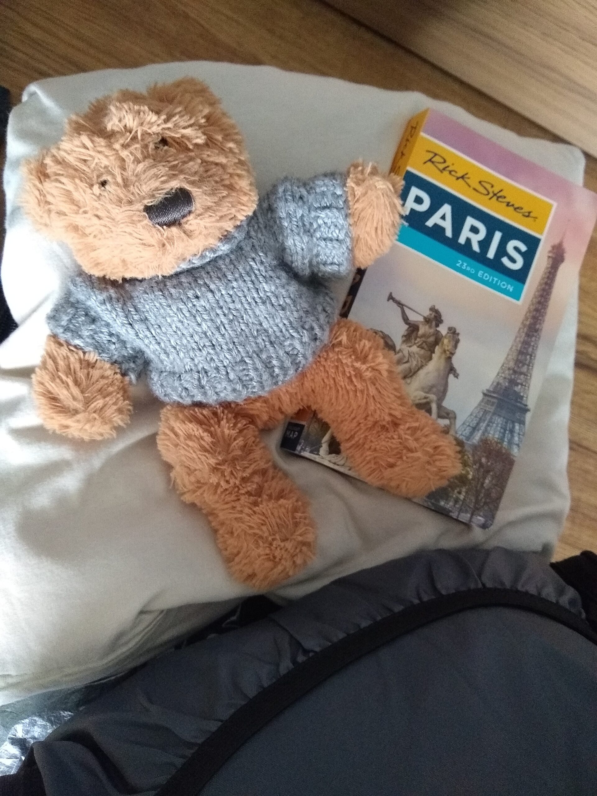 Have Bear, Will Travel – amo vitam